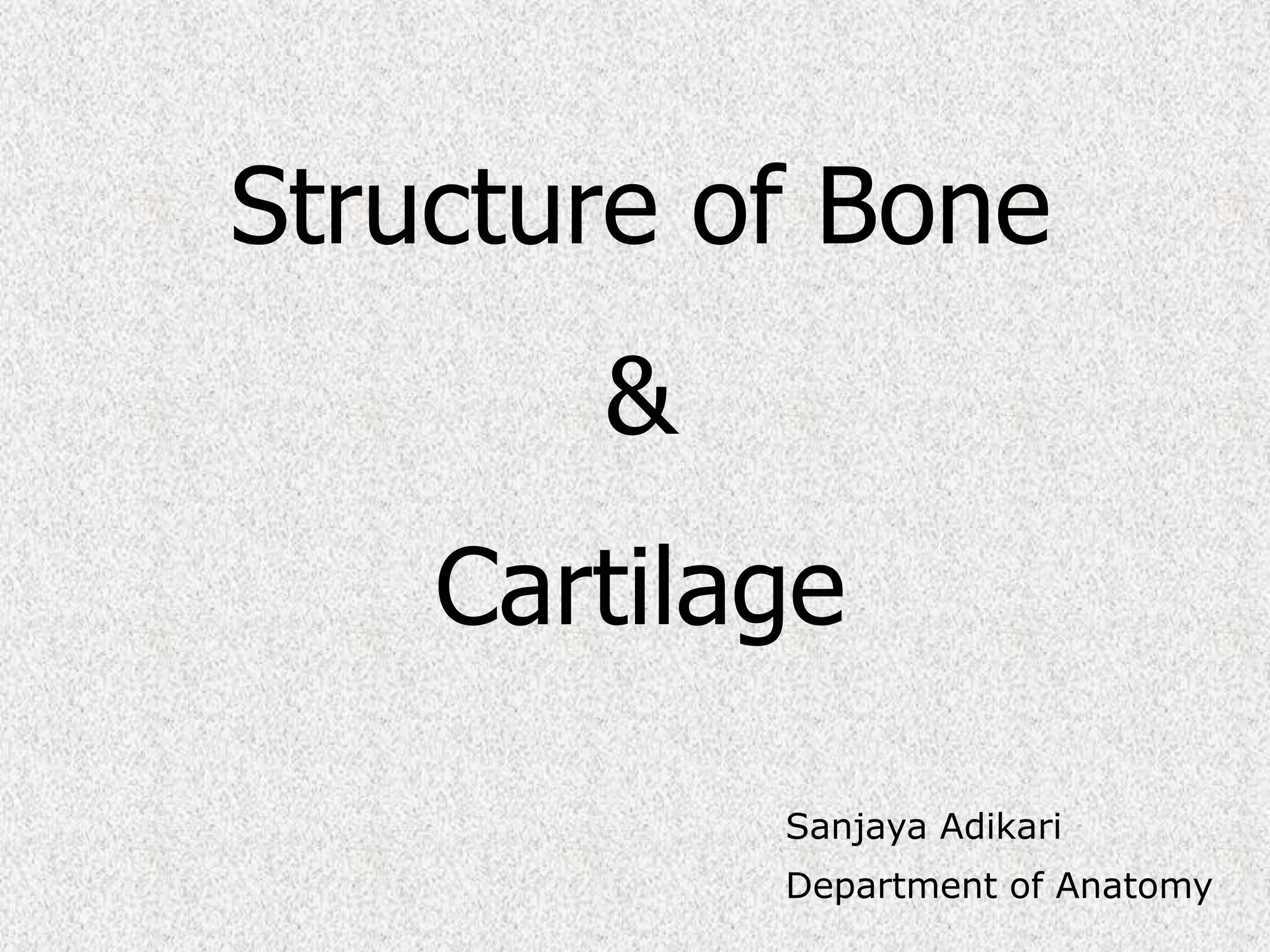 Structure of Bone & Cartilage.ppsx