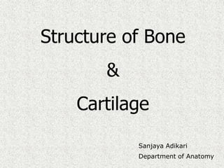 Structure of Bone & Cartilage.ppsx