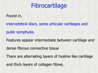 Structure of Bone & Cartilage.ppsx