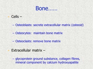 Structure of Bone & Cartilage.ppsx