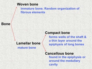 Structure of Bone & Cartilage.ppsx