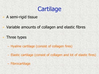 Structure of Bone & Cartilage.ppsx