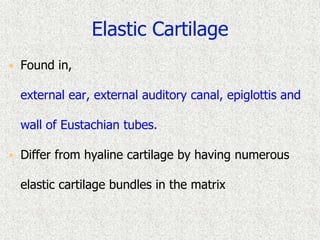 Structure of Bone & Cartilage.ppsx