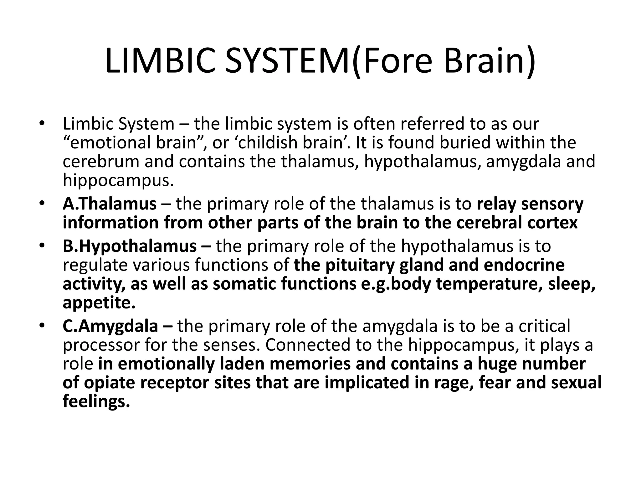 Structure of Brain.pptx