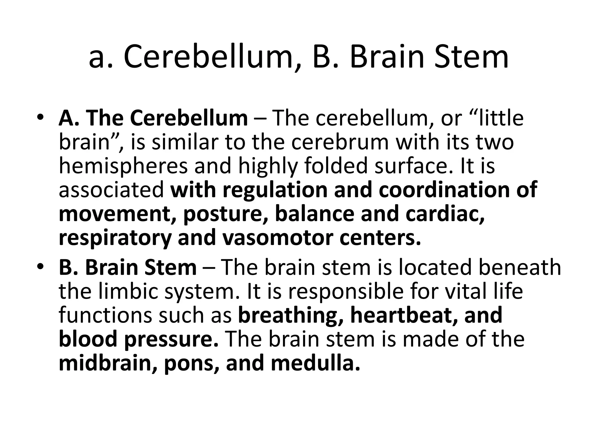 Structure of Brain.pptx