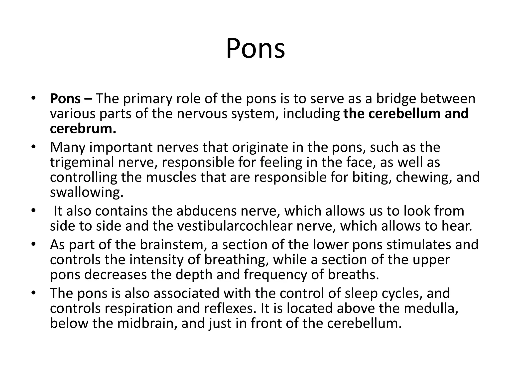 Structure of Brain.pptx