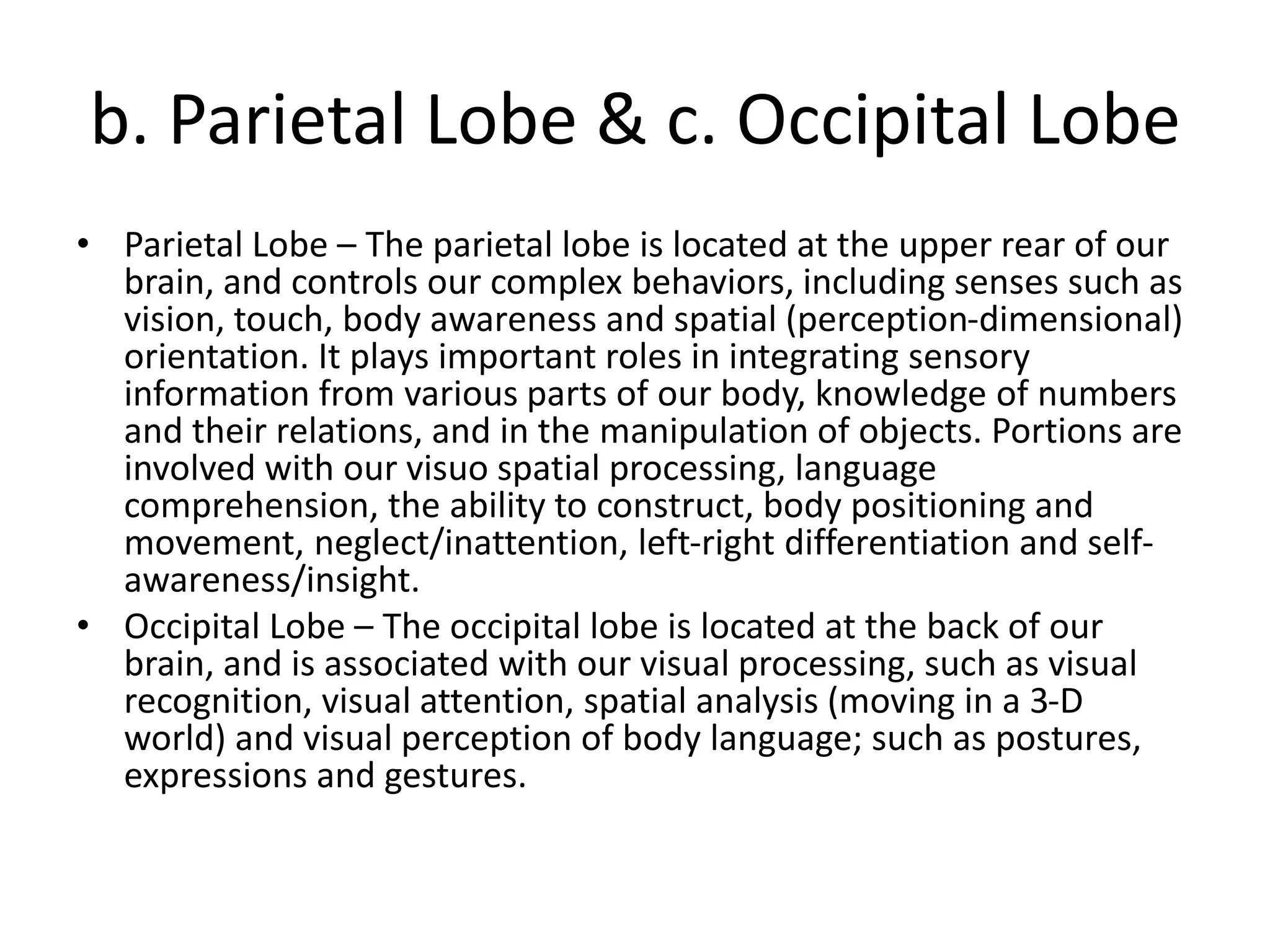Structure of Brain.pptx