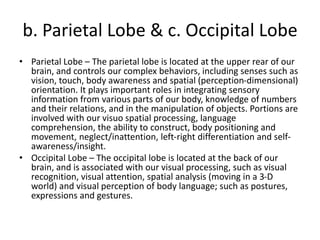 Structure of Brain.pptx