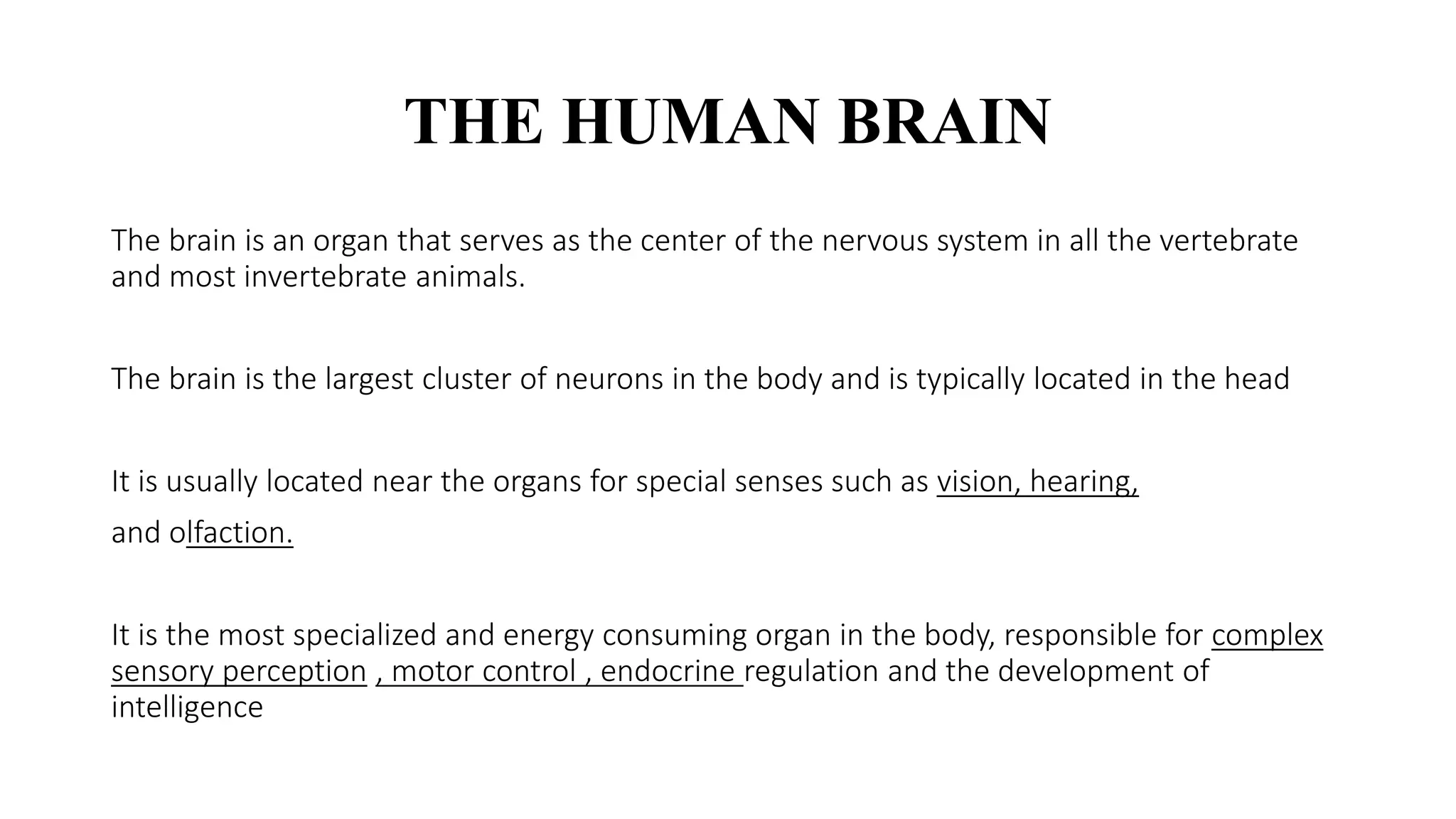 STRUCTURE OF BRAIN.pptx indetail structure of b | PPT
