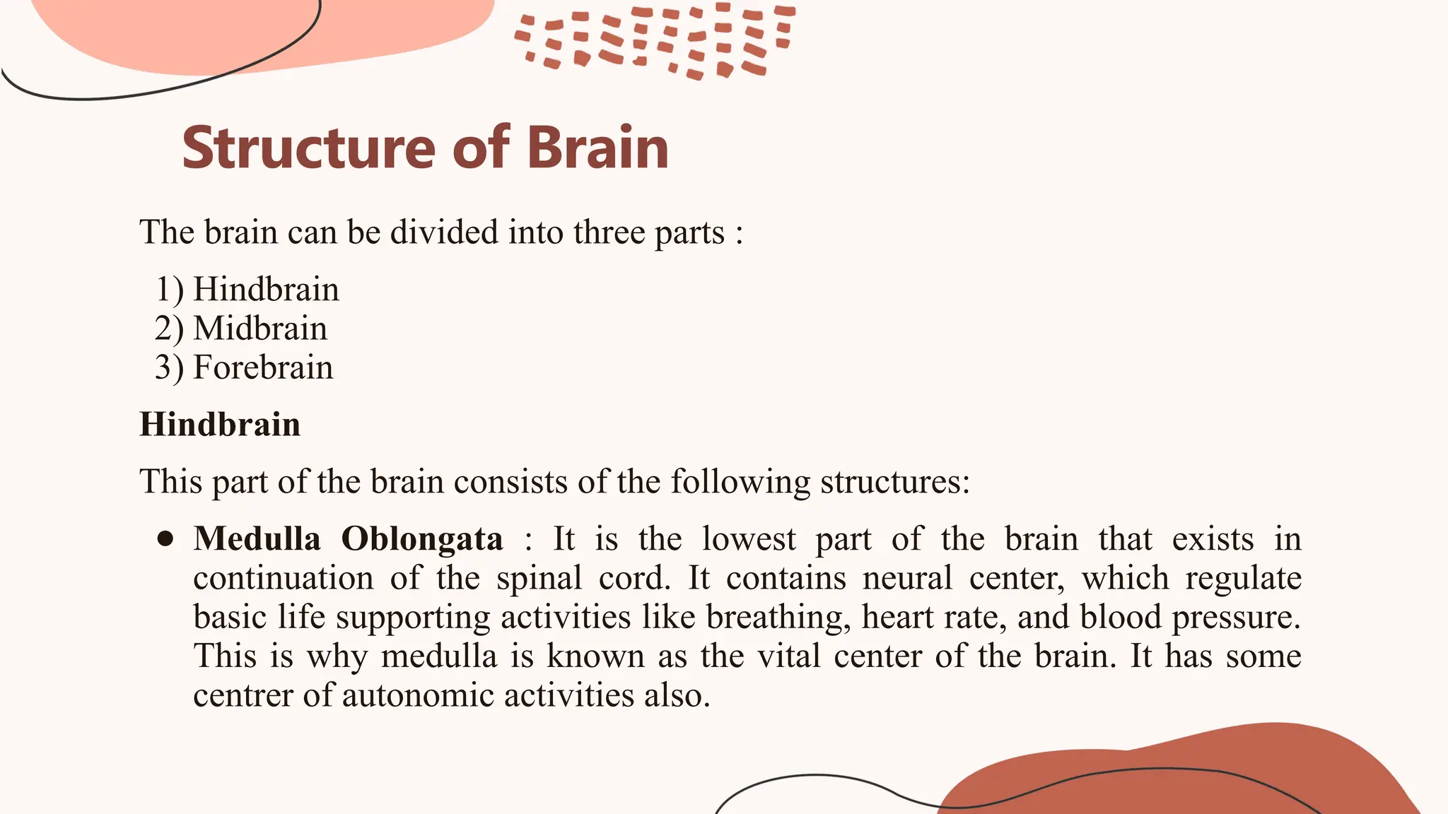 Understanding the Structure of the Brain | PPT