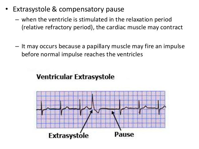 Structure of cardiac muscle excitation contraction coupling propertie…