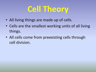 Structure of cell | PPT