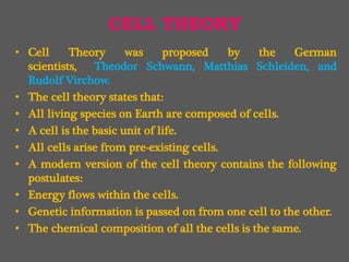 Structure of cell | PPTX