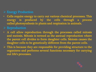 Structure of cell | PPTX