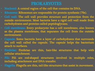 Structure of cell | PPTX