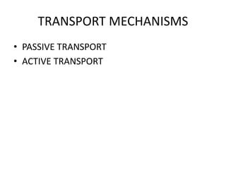 STRUCTURE OF CELL AND ITS COMPONENTSpptx | PPTX