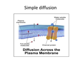 STRUCTURE OF CELL AND ITS COMPONENTSpptx | PPT