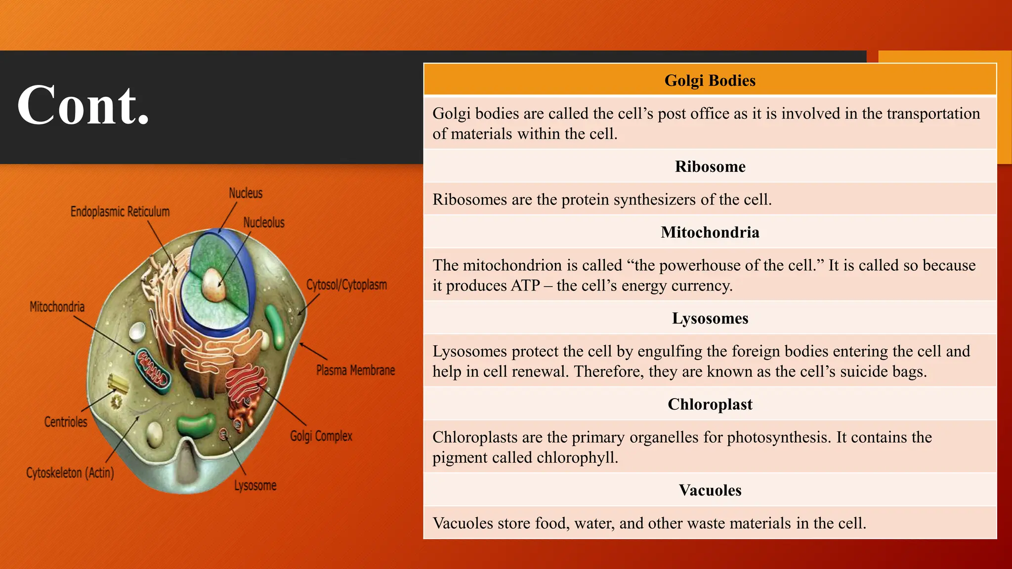 Introduction of Human Body & Structure of cell.pptx