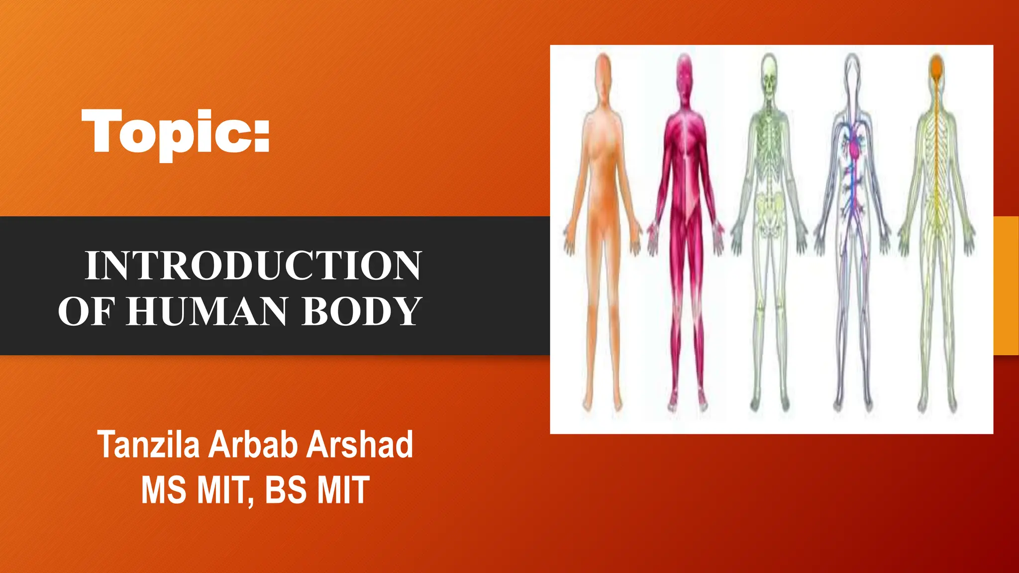 Introduction of Human Body & Structure of cell.pptx