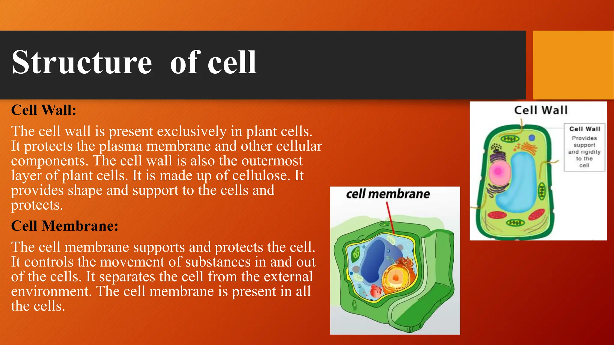 Introduction of Human Body & Structure of cell.pptx