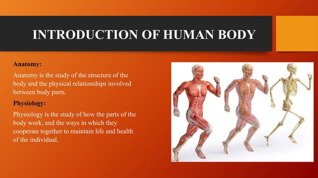 Introduction of Human Body & Structure of cell.pptx