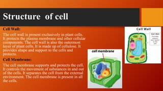 Introduction of Human Body & Structure of cell.pptx