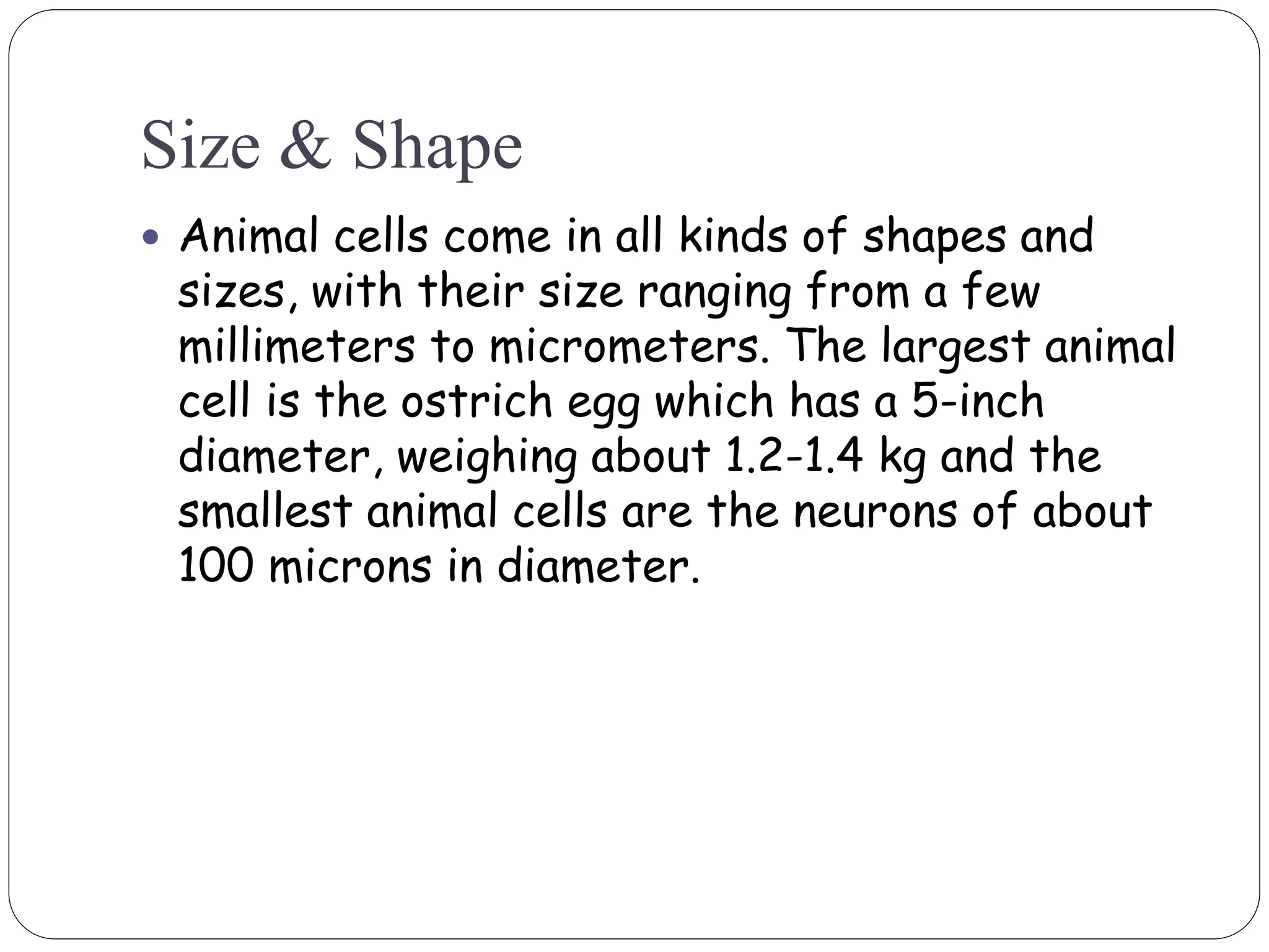 Structure of cell components and functions | PPTX