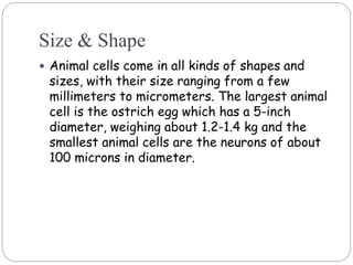 Structure of cell components and functions | PPTX