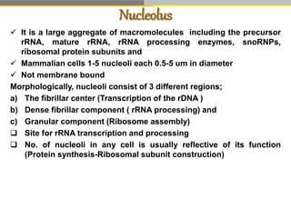 Structure of cell | PPTX