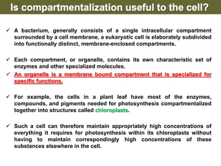 Structure of cell | PPTX