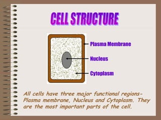 Structure of cell by Avinash Nayak | PDF
