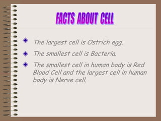 Structure of cell by Avinash Nayak | PDF | Biological Sciences | Science