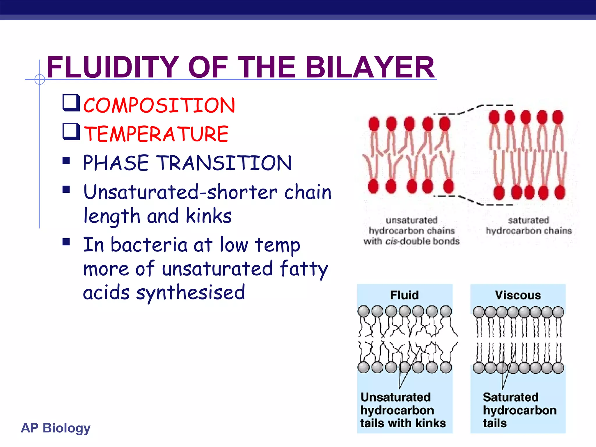 Structure of cell membrane and Transport | PPT