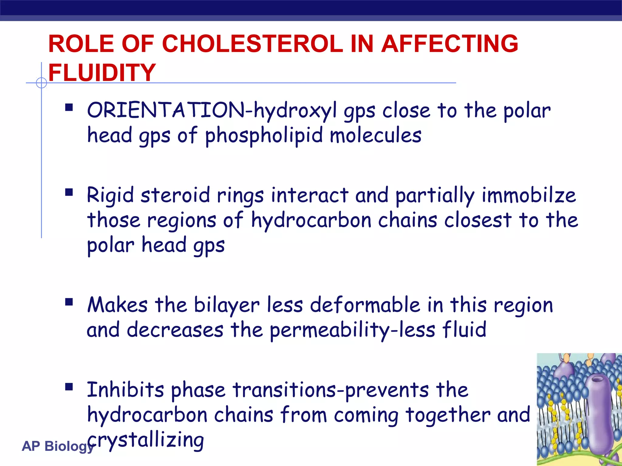 Structure of cell membrane and Transport | PPT