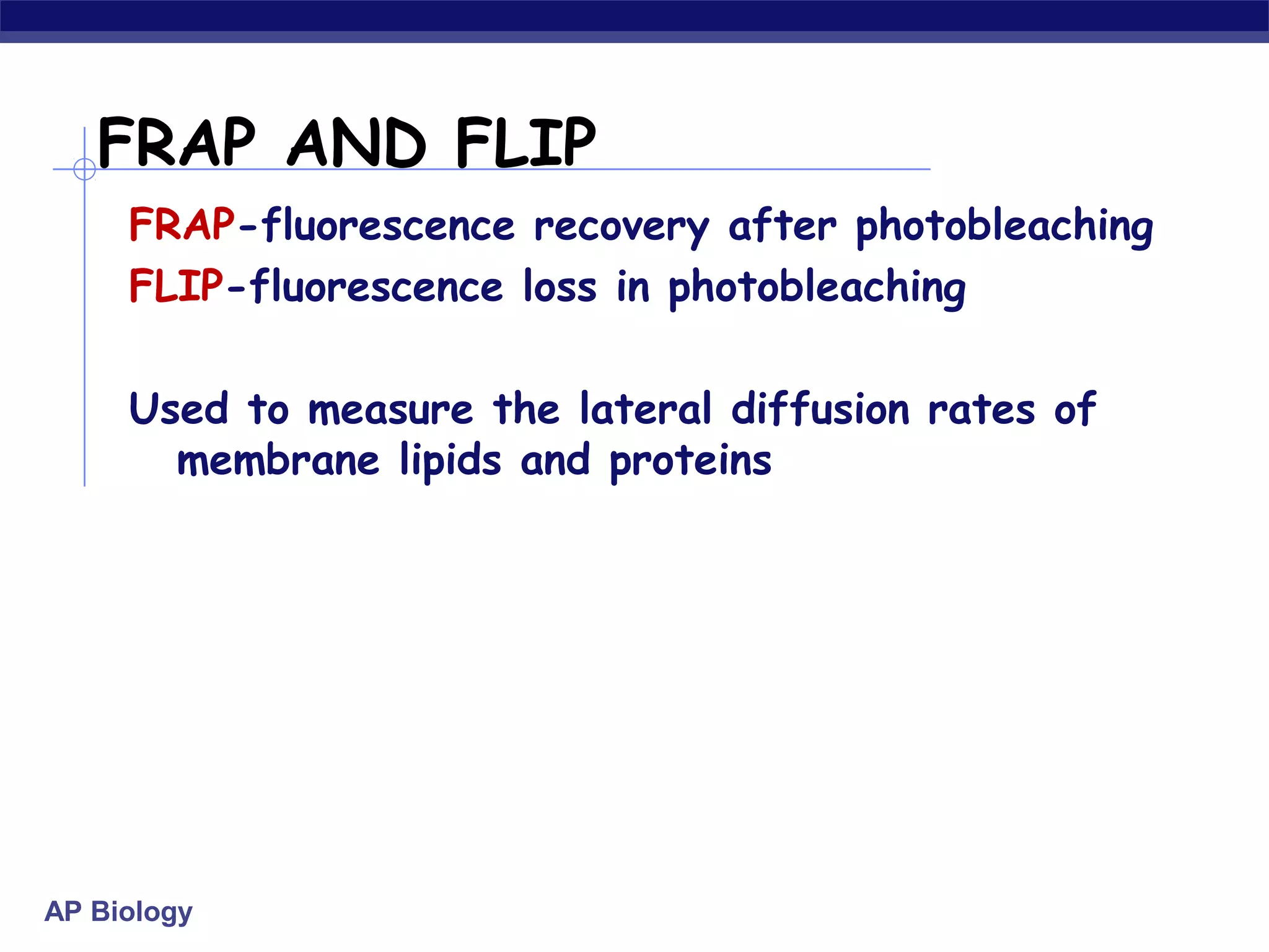 Structure of cell membrane and Transport | PPT