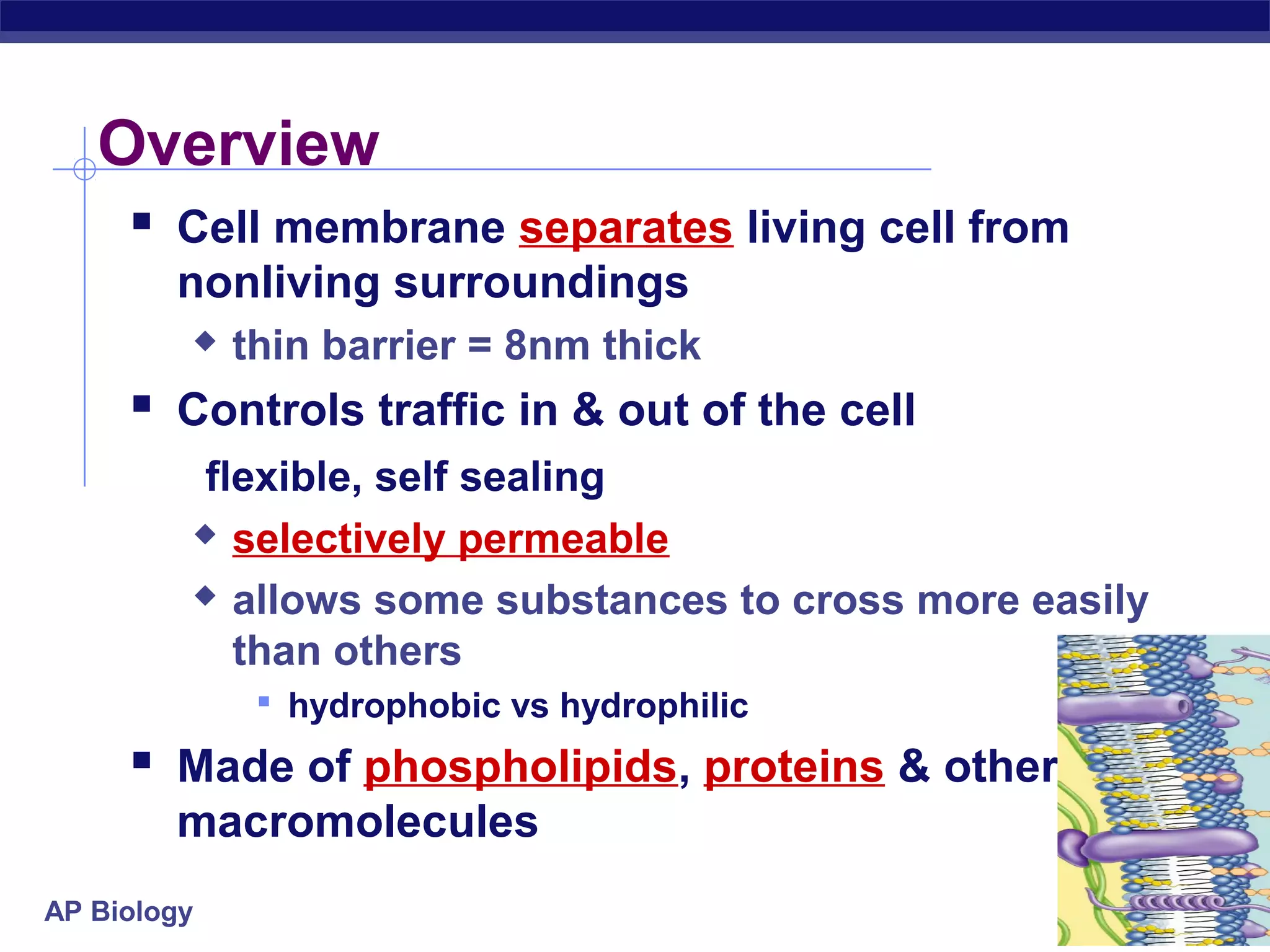 Structure of cell membrane and Transport | PPT