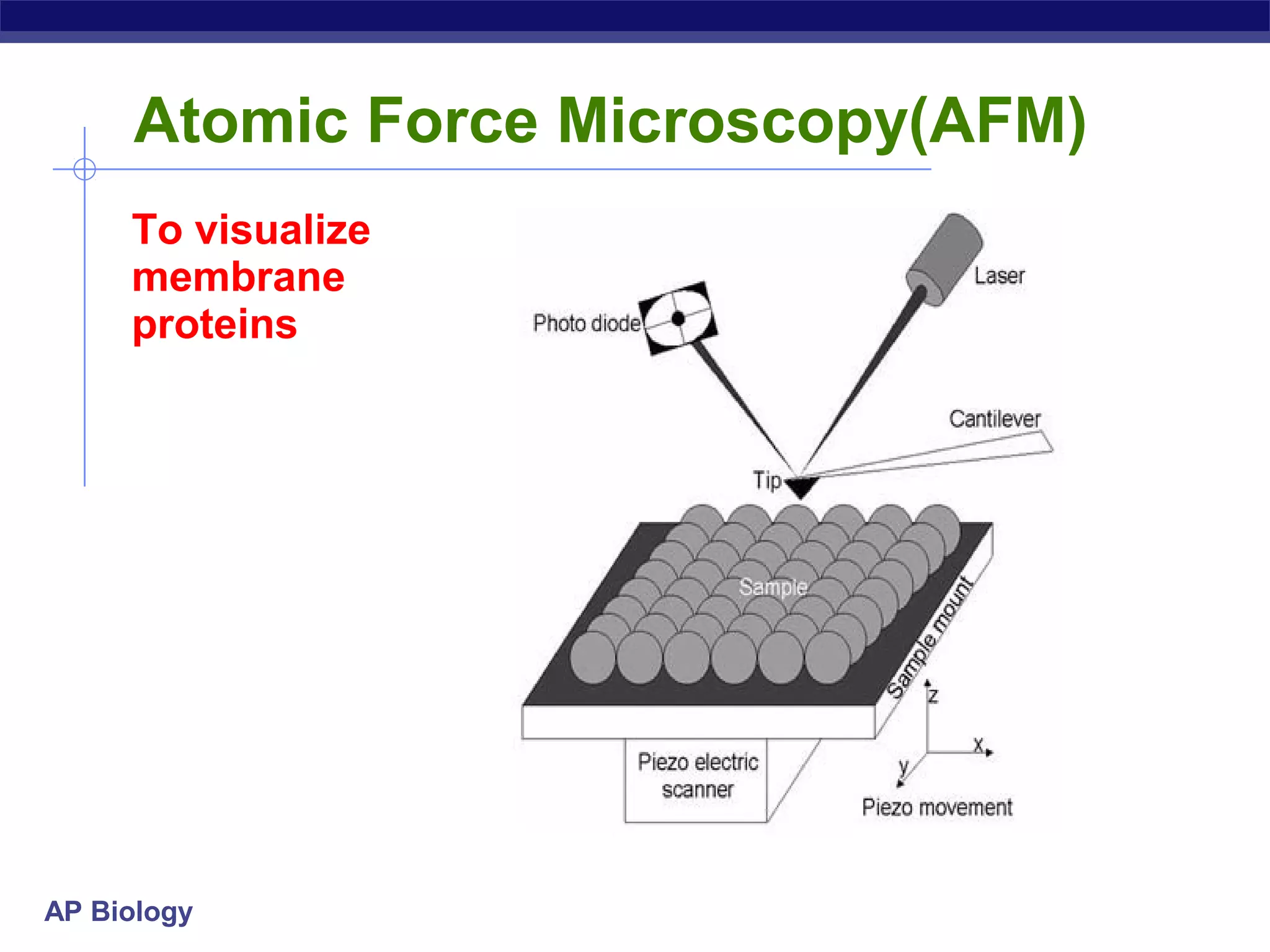 Structure of cell membrane and Transport | PPT