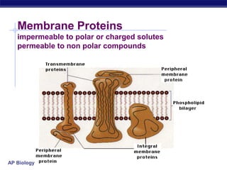 Structure of cell membrane and Transport | PPT