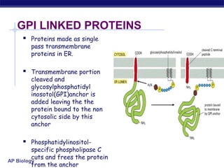 Structure of cell membrane and Transport | PPT