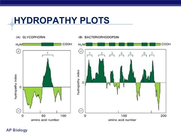 Structure of cell membrane and Transport