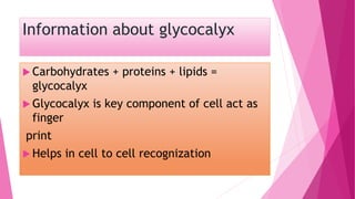 Structure of cell membrane | PPT
