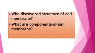 Structure of cell membrane | PPT