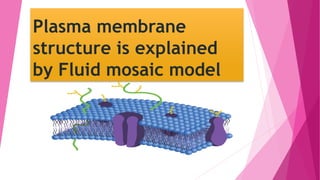 Structure of cell membrane | PPT