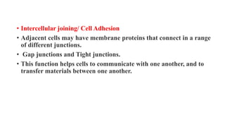structure of cell membrane.pptx