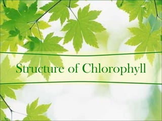 Structure of chlorophyll & haemoglobin | PPT