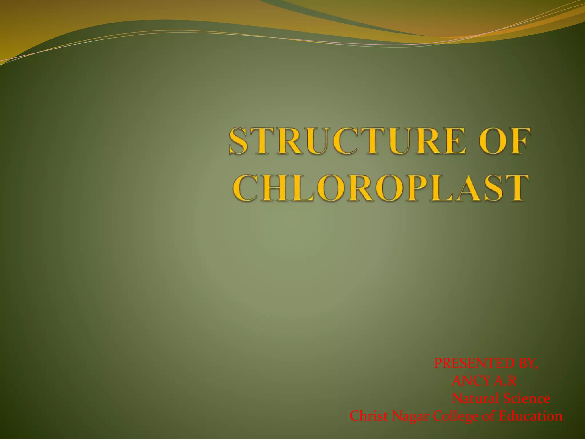Structure of chloroplast | PPTX