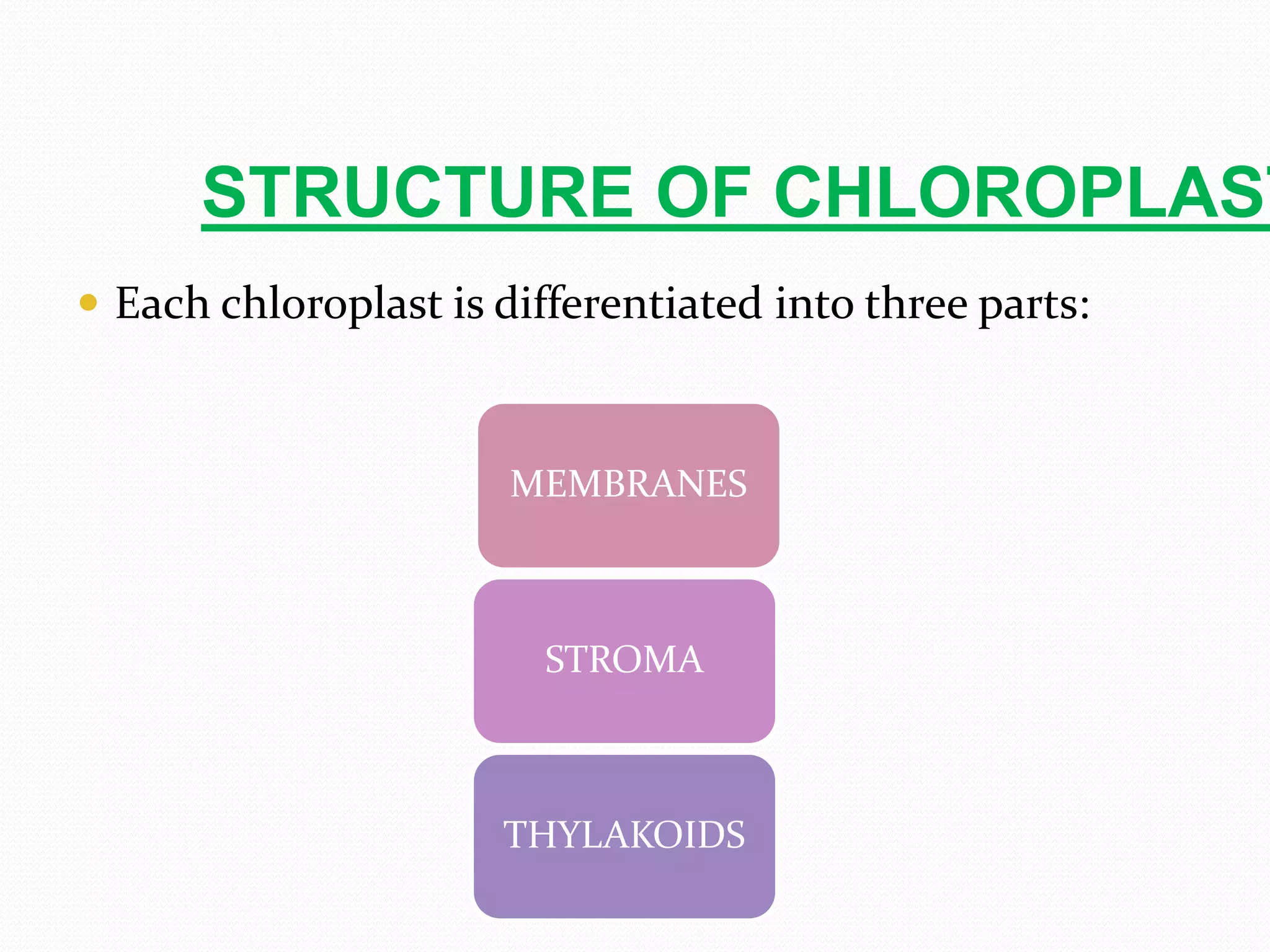 Structure of chloroplast | PPTX
