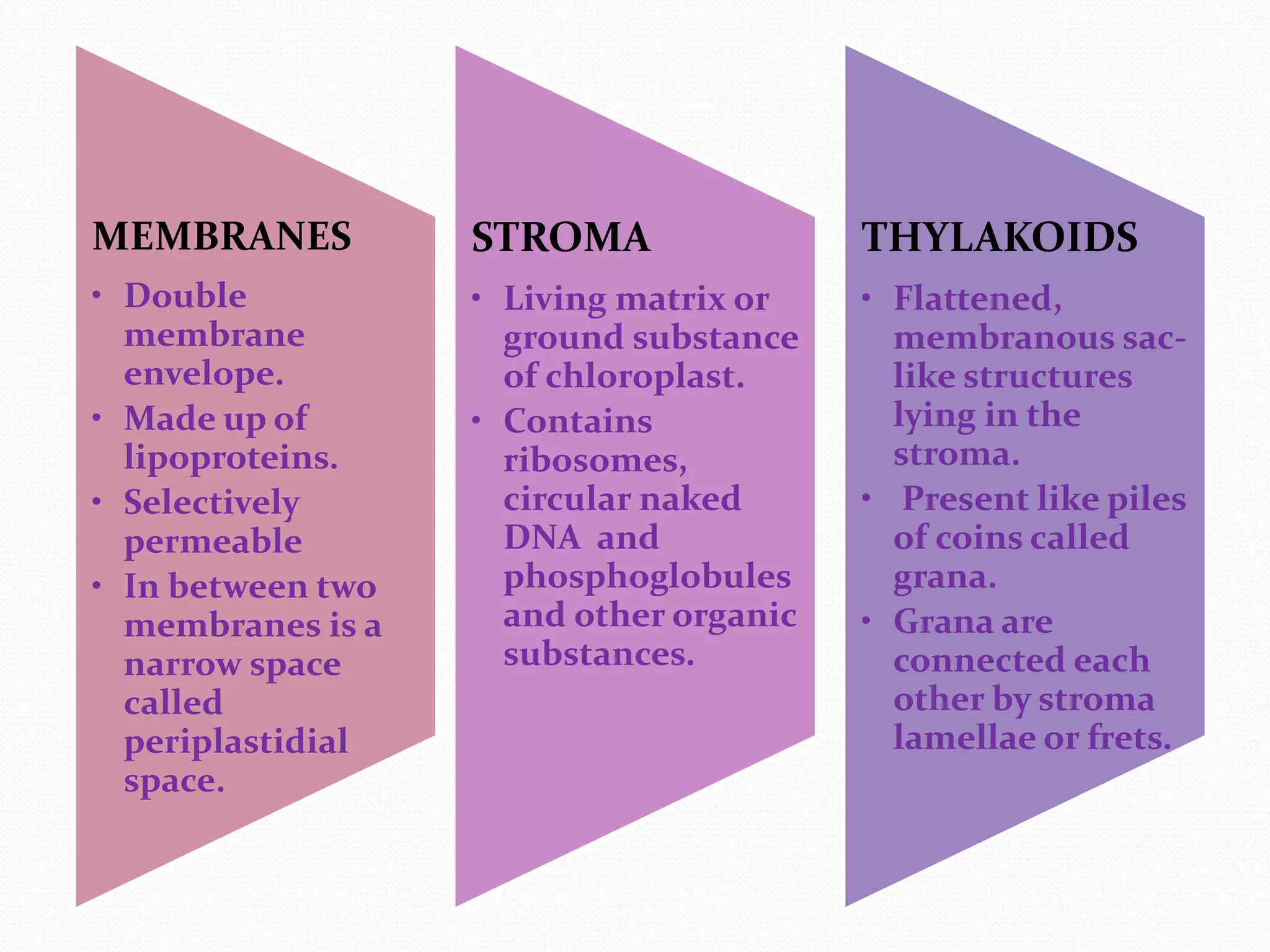 Structure of chloroplast | PPTX