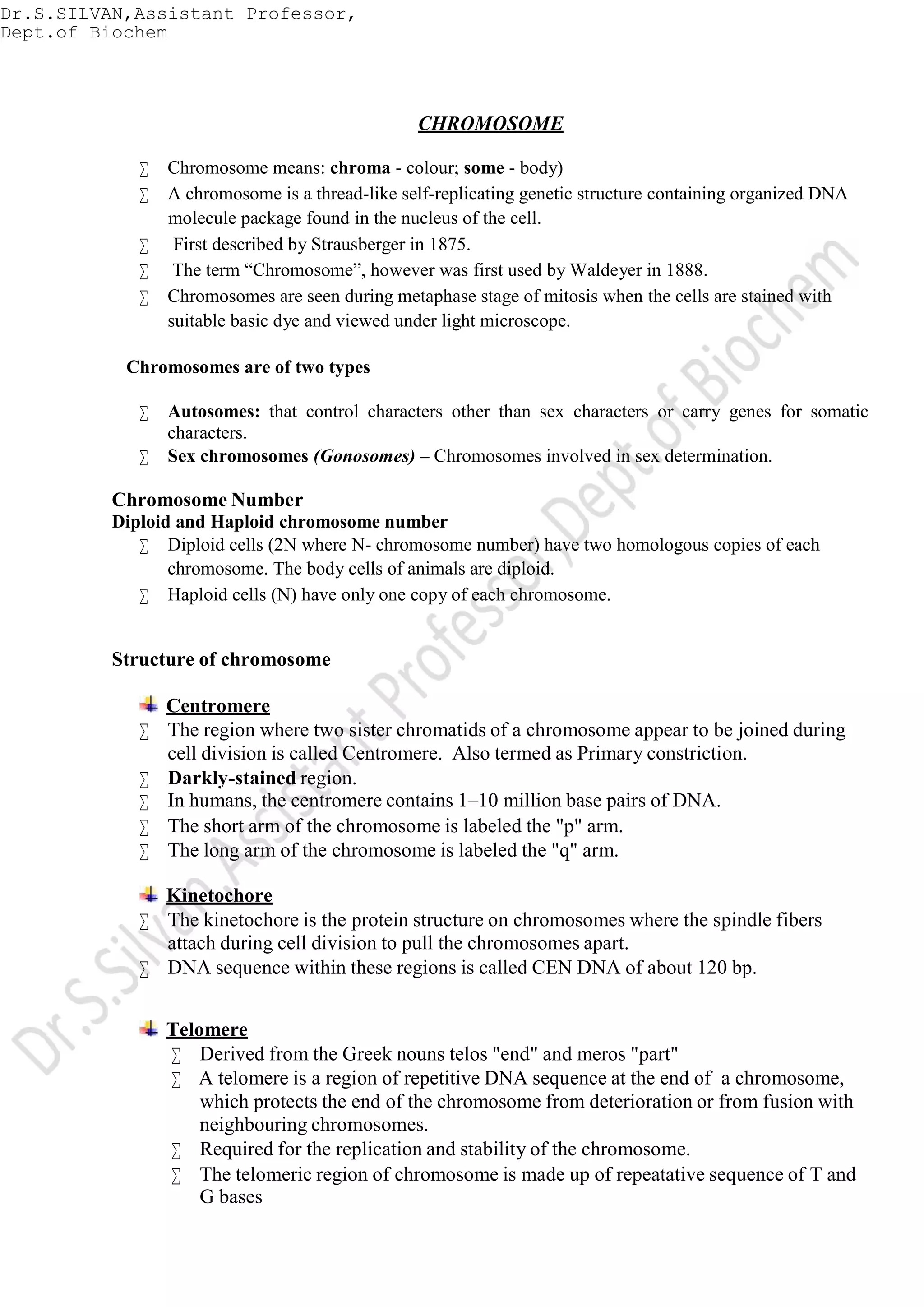 Structure of chromosome | PDF