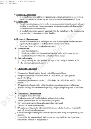 Structure of chromosome | PDF